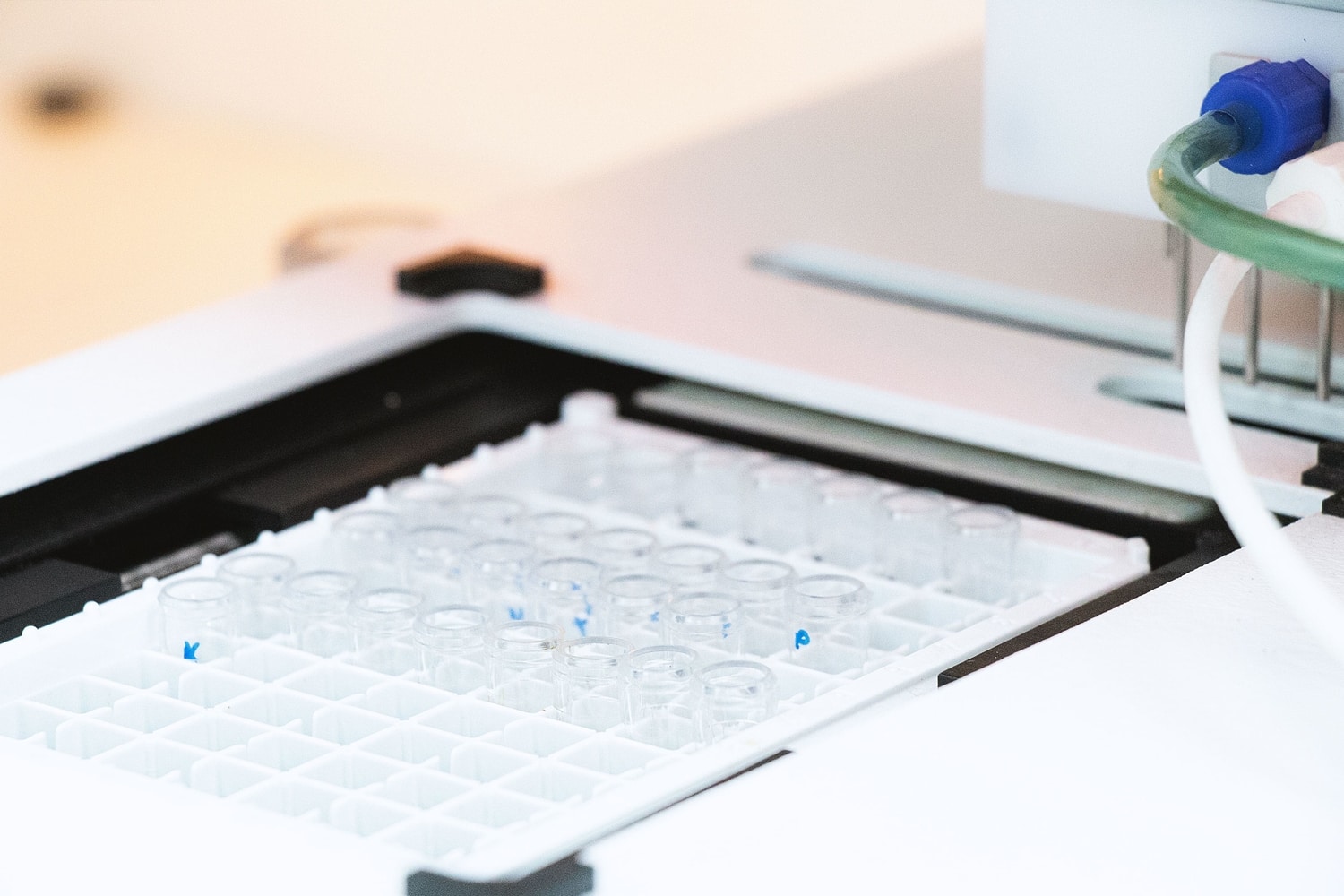 Webp.net-resizeimage (1)